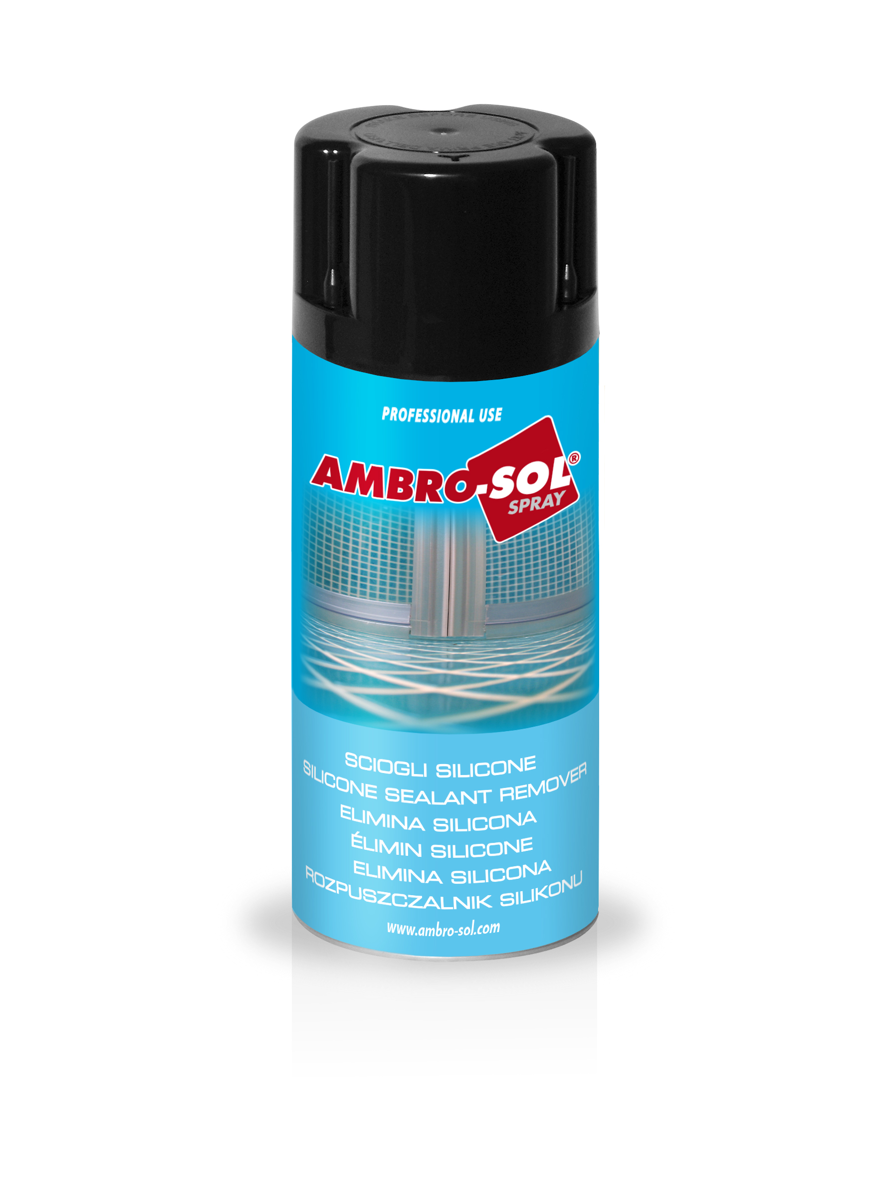 AMBRO-SOL